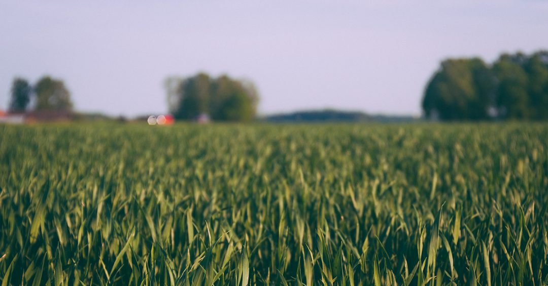 Understanding the EPA Guide for Industrial Waste Management - KenBay